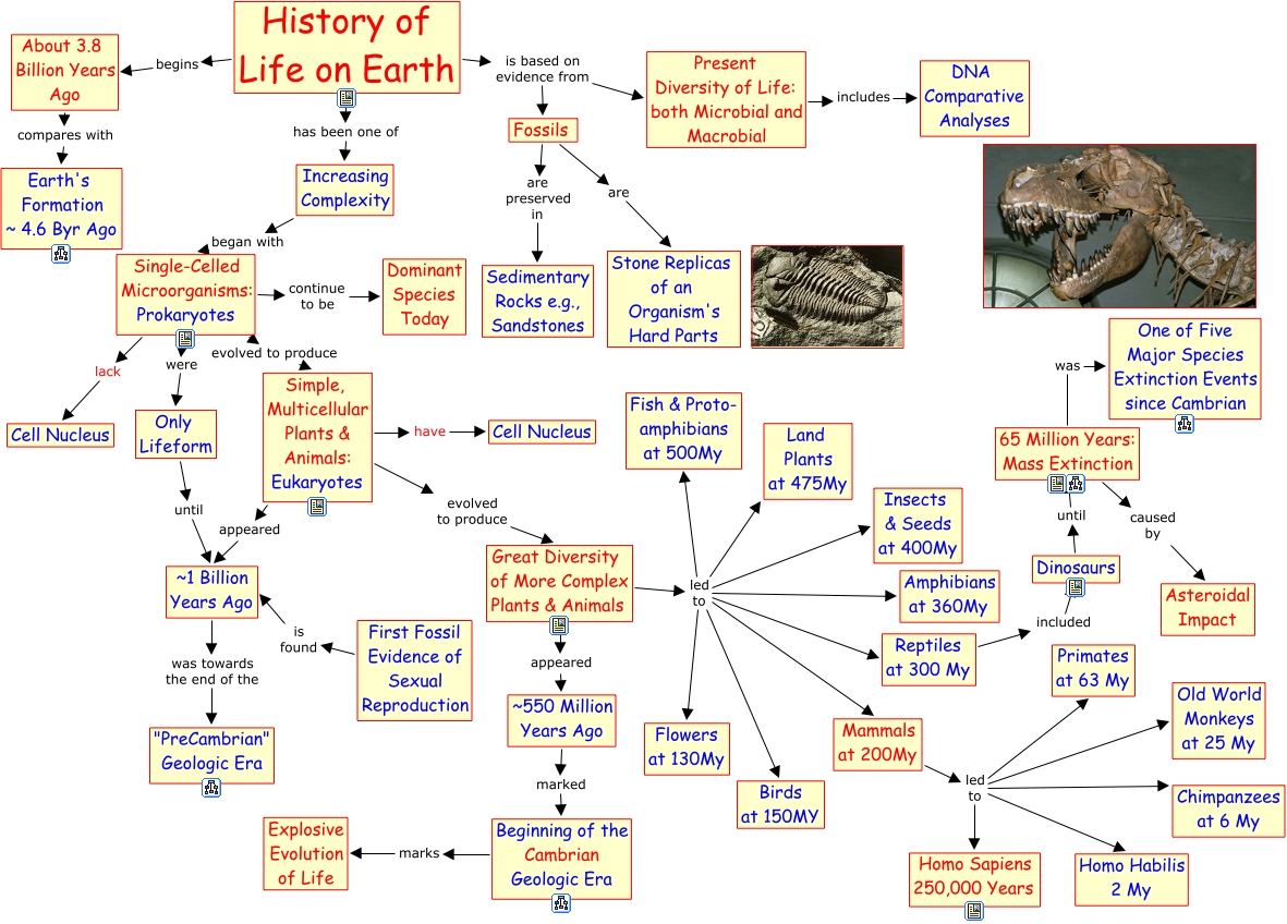 28 History of Life On Earth